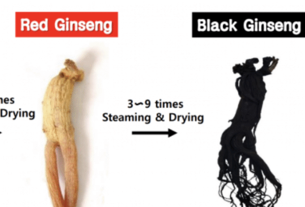 Korean Black Ginseng (Heuk-sam) in 2025: A Deep Dive into Science ...