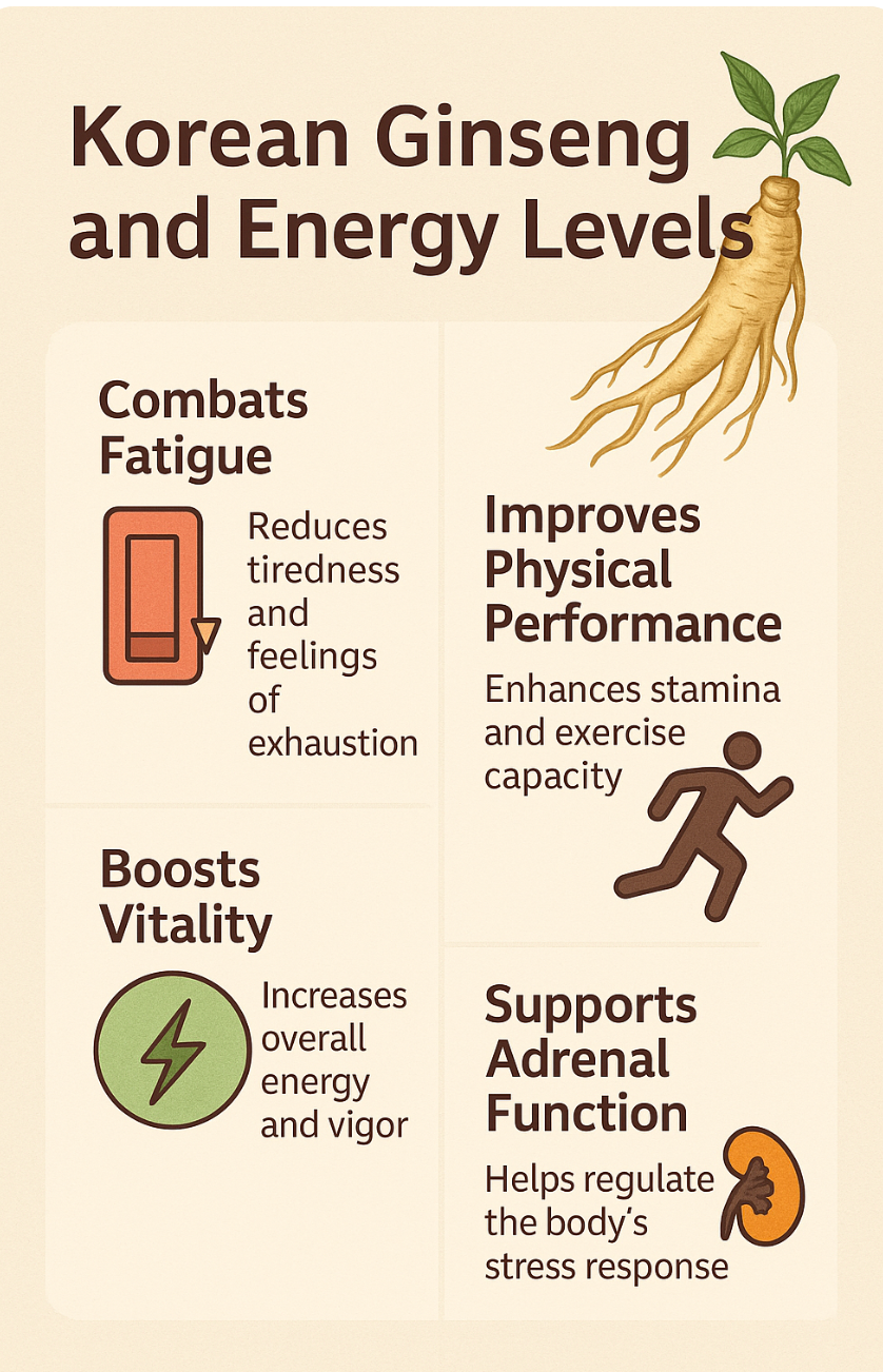 Korean Ginseng and Energy: A Natural Solution for Vitality and ...